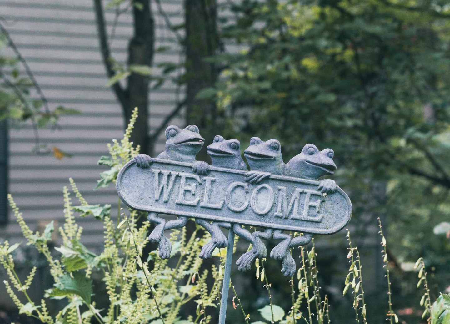 COMING HOME – My Writerly Life